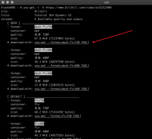 使用you-get下载在线视频及异常解决 – XK's Blog